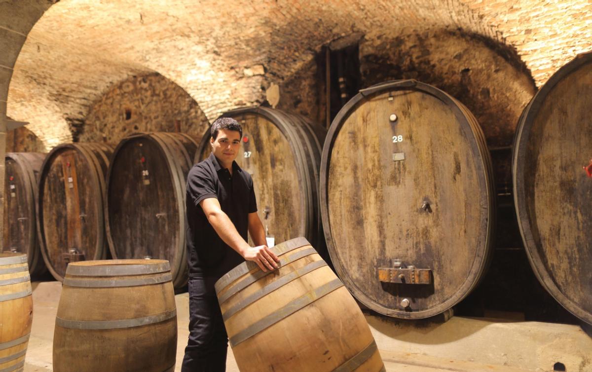 What is the unique charm of the world-renowned fine wines, Georgian ...