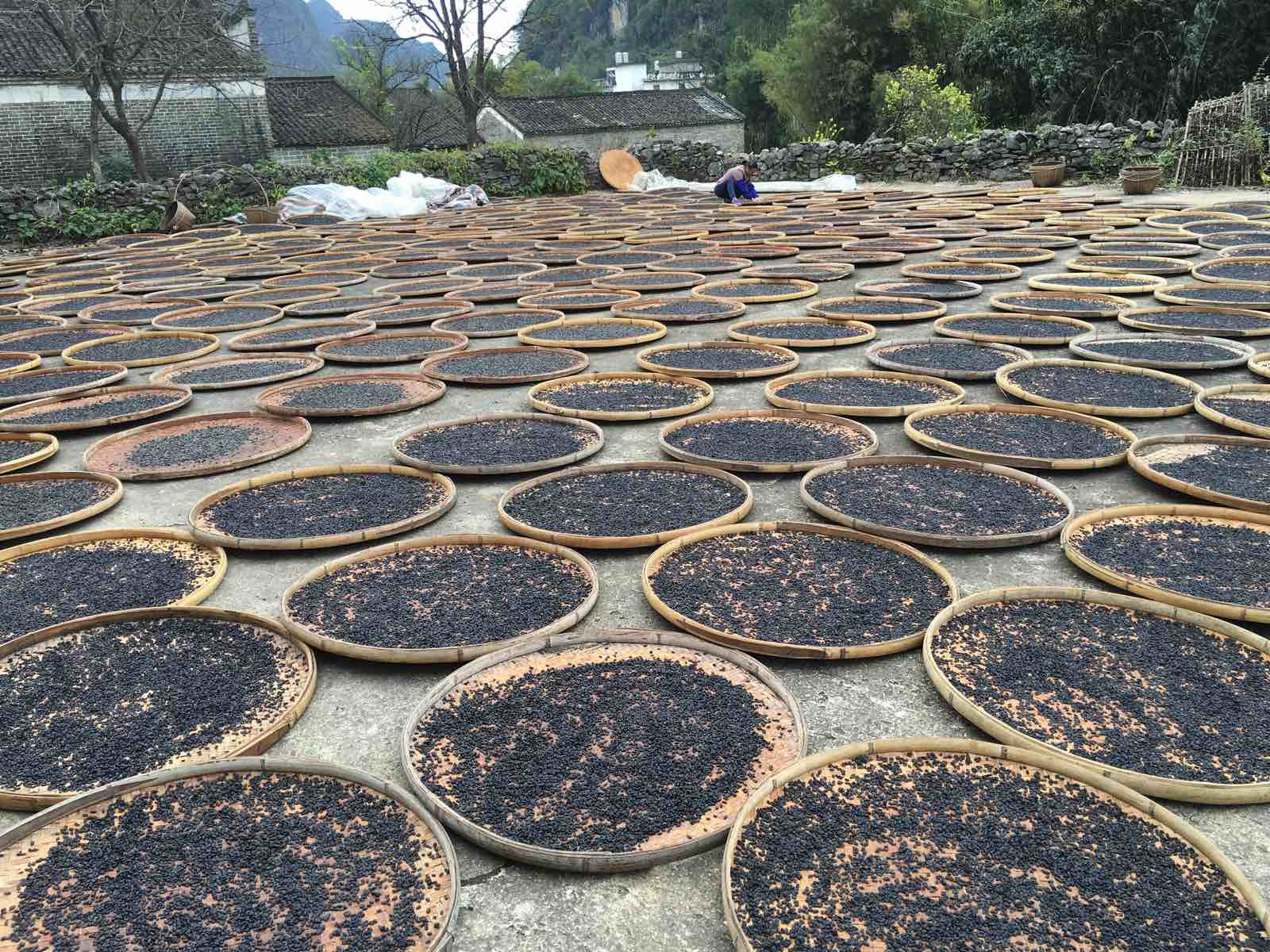 Do you know "Zhaoping Three Treasures"? - iMedia