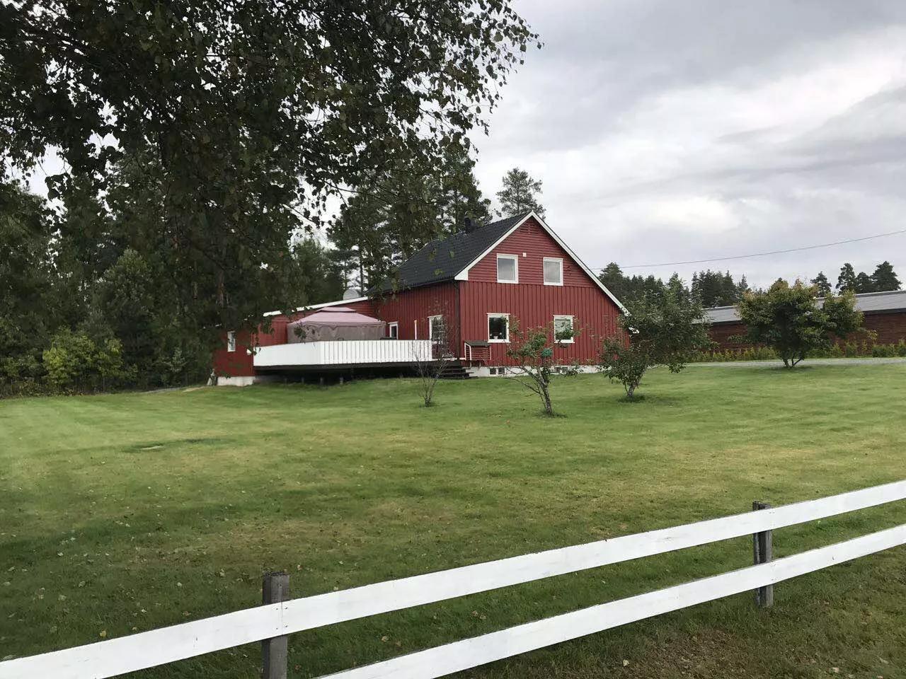 Germans start hoarding wood for heating - iNEWS