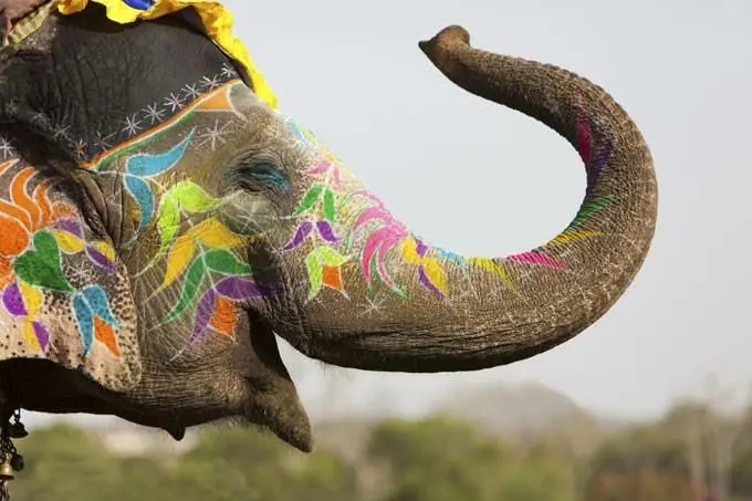 Sacred Symbols: The Elephant in Hindu Mythology - iNEWS