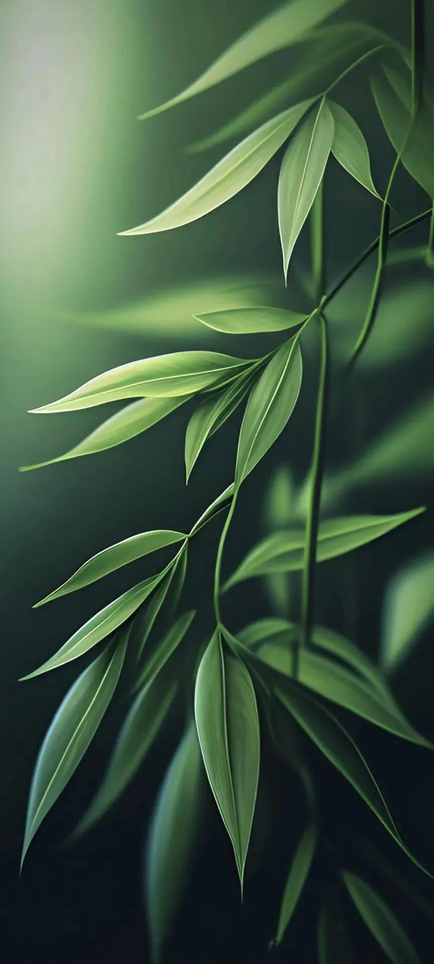Very comfortable green eye protection wallpaper - iNEWS