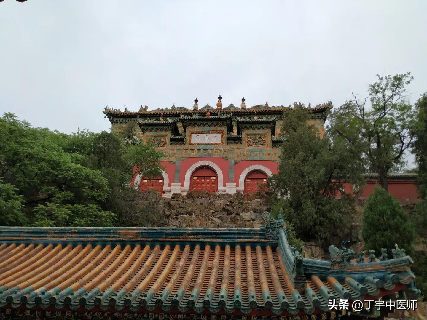 Jin Kui Yao Slightly Occasionally Feels Pulse Syndrome and Treats the ...