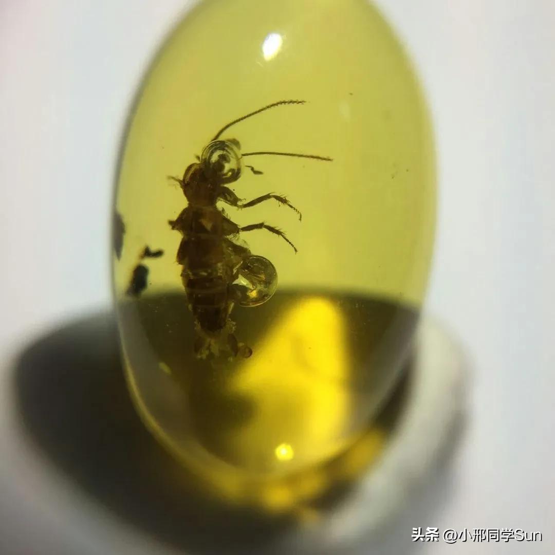 Tang Wei Yingwu once said: He used to be the god of old Fu, and it was ...