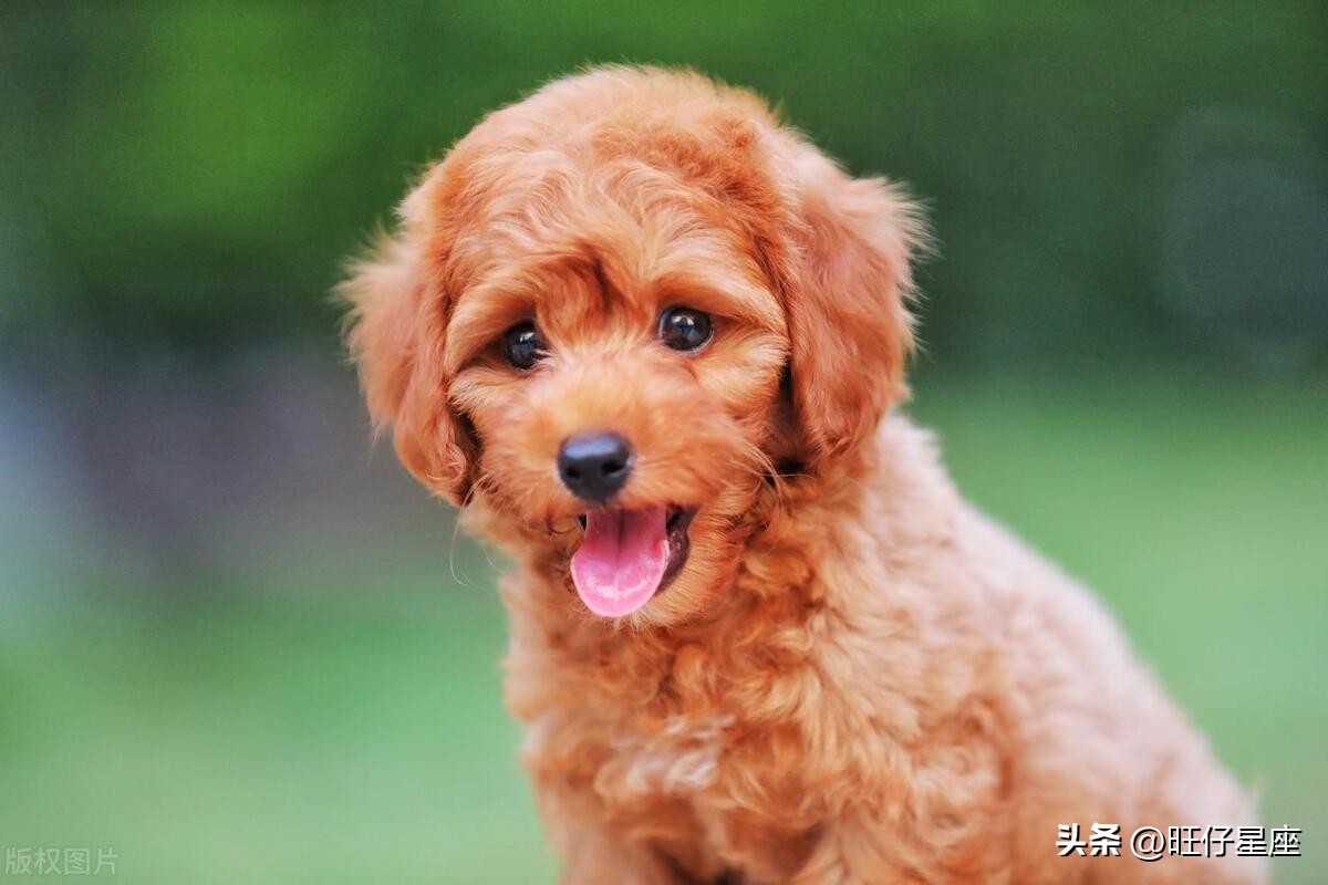 The three unique and powerful constellations - iMedia