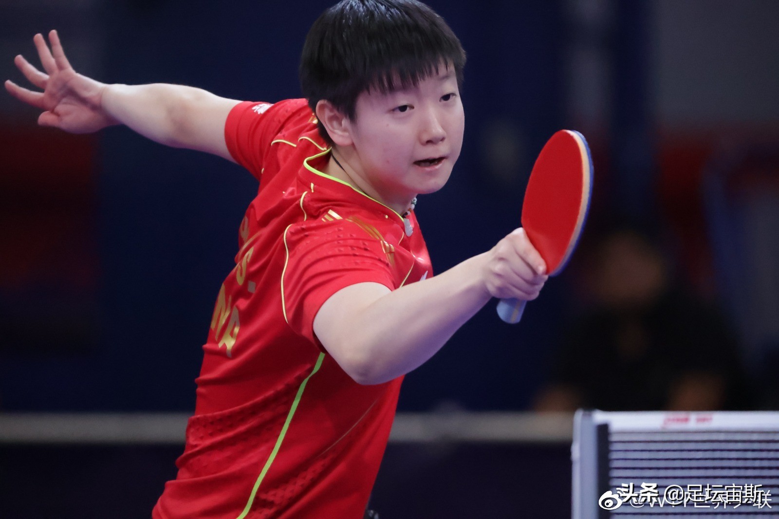 National Ping Pong dominates the top 4 women's singles, Sun Yingsha ...