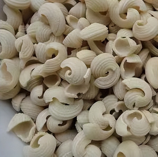 Shanxi pasta - cat ears - iNEWS