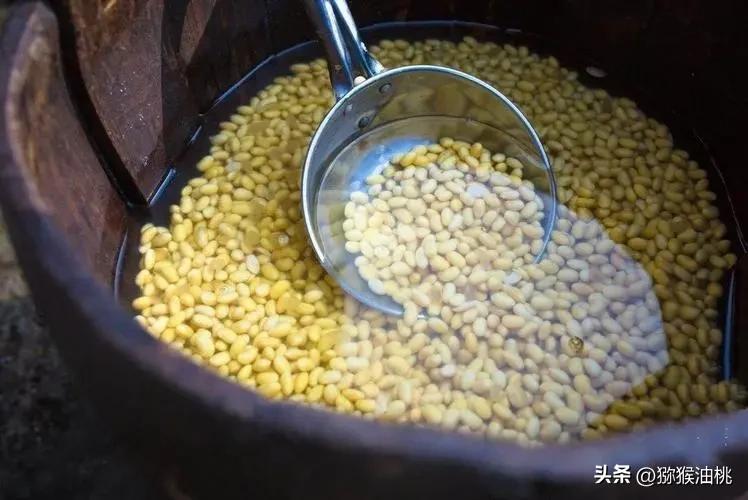 The taste of childhood starts with soybeans, soy milk, bean curd brain ...