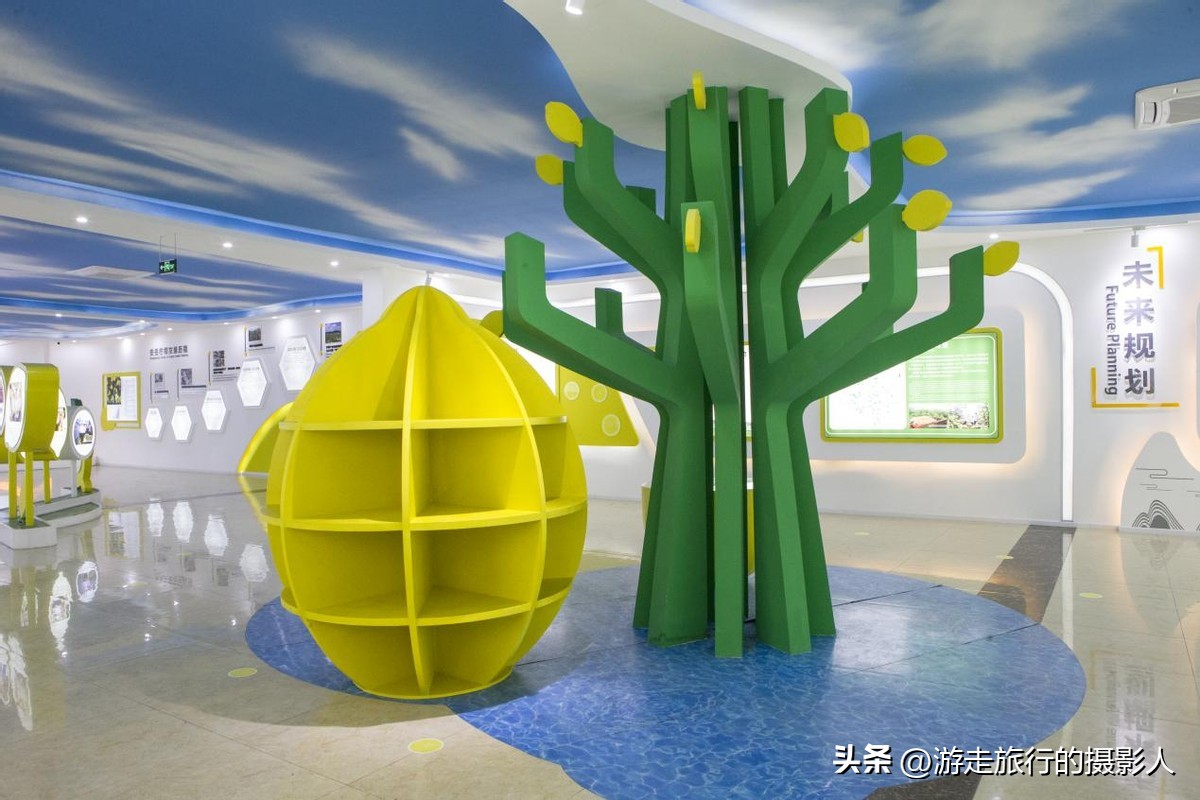 "Traveling Lemon Country" Country Tour: Baosen Lemon Tourist Area ...