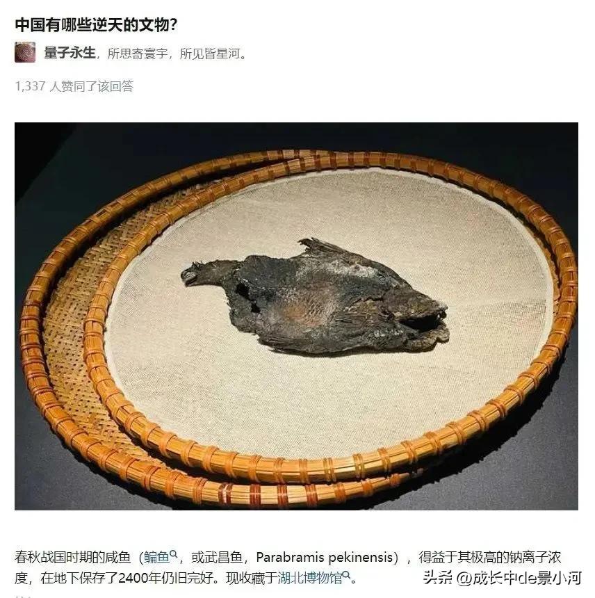 The Miracle of Salted Fish in the Spring and Autumn Period: 2400 Years ...