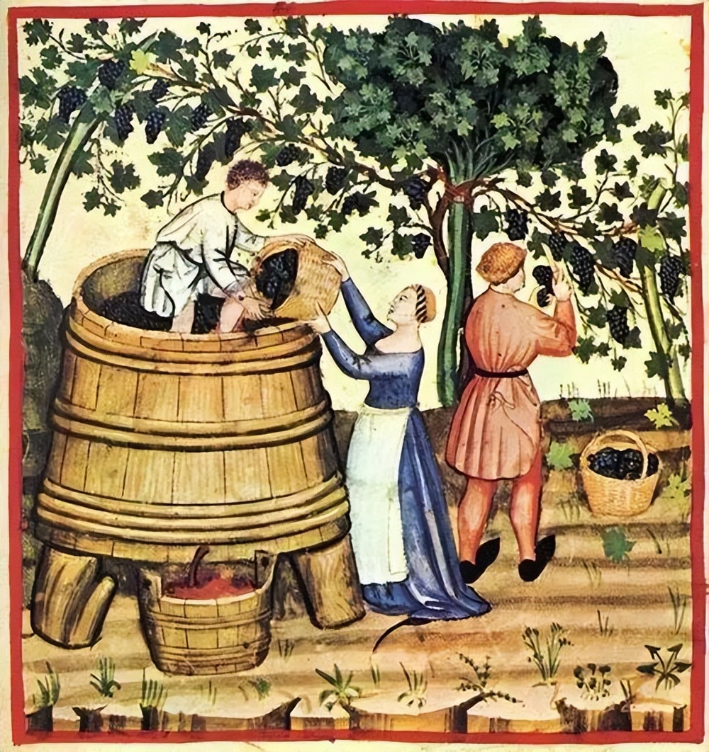 On the Status of Wine in Medieval Western European Society - iMedia