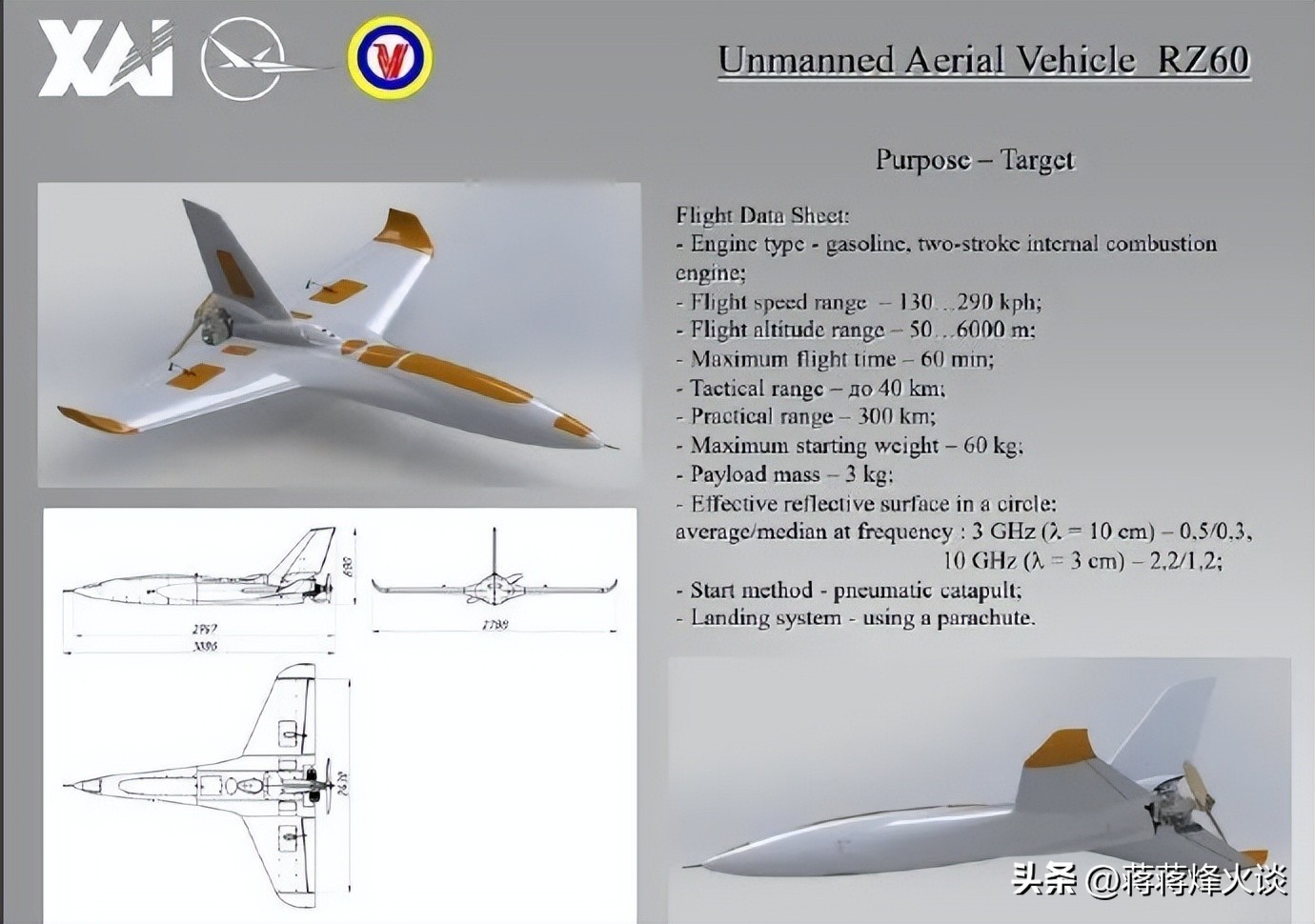 Ukraine showcases a fixed-wing suicide drone with a tailless delta wing ...