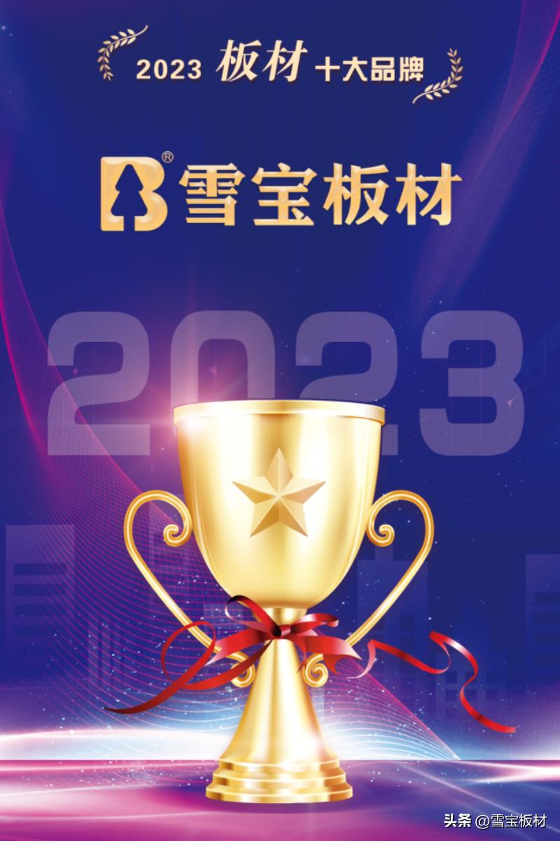 "Top Ten Brands of Panels" Xuebao Panels won the annual award of "China ...