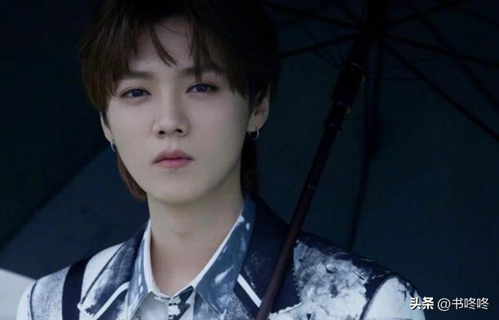 The top performer in the first generation of domestic entertainment ...