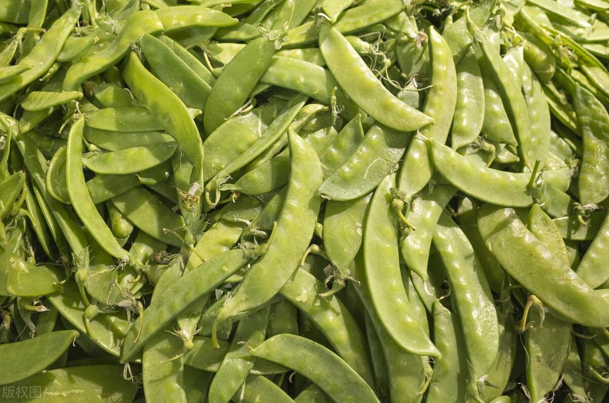 Wild vegetables are delicious and healthy, must try! Steamed peas ...