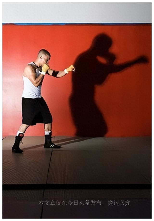 He broke Jet Li's arm with one punch and kicked Wu Jing away with one ...