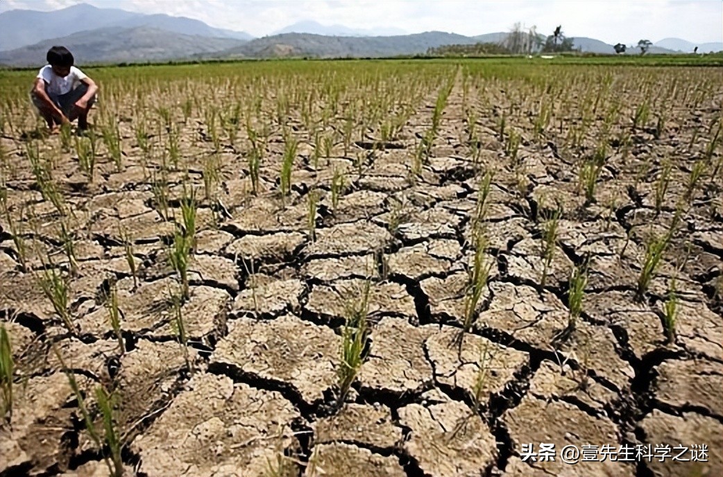 As the global temperature continues to rise, what did humans do to make ...
