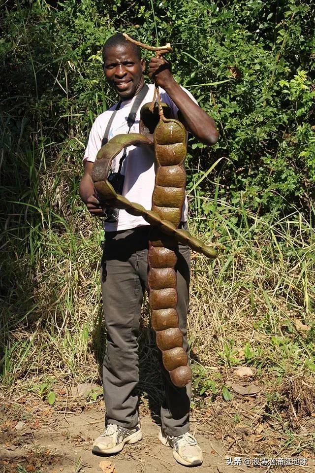 44 suffocating "giant" pictures, netizens: giant phobia committed - iNEWS
