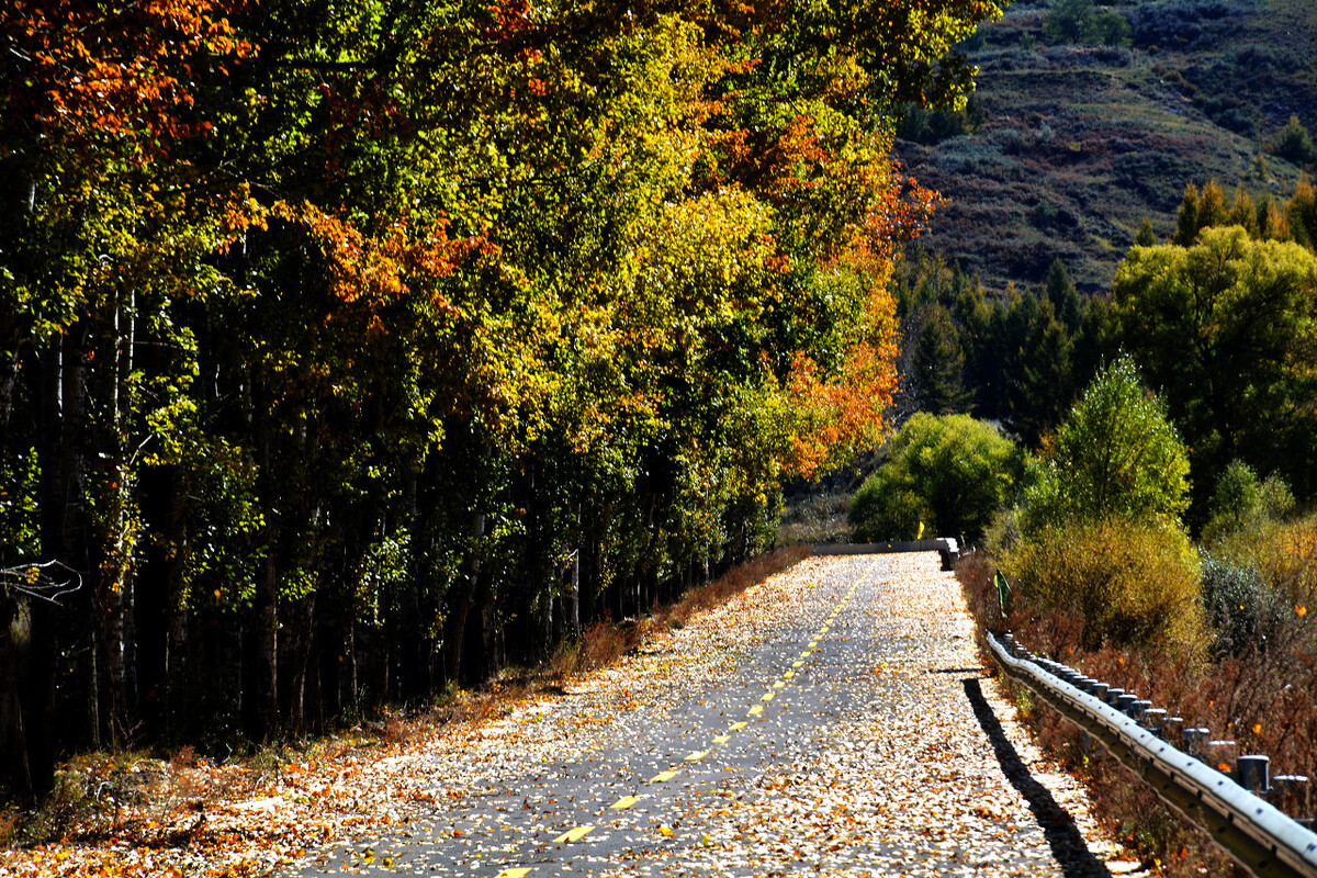 Anthology of Li Wanchun's Poems: The Scenery of Yu Ji in the Twilight ...
