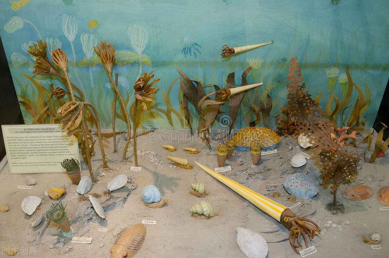 Will human beings survive the next mass extinction? - iNEWS