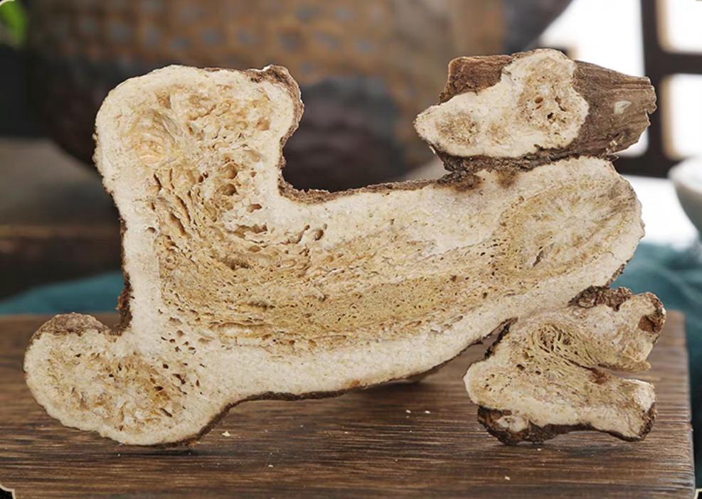 "Shen Nong's Materia Medica" - 25 Atractylodes - iNEWS