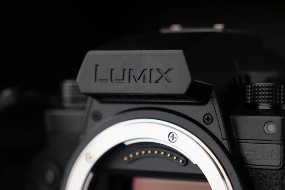 A video-enhanced version of the S5M2? Panasonic Lumix S5M2X for the ...