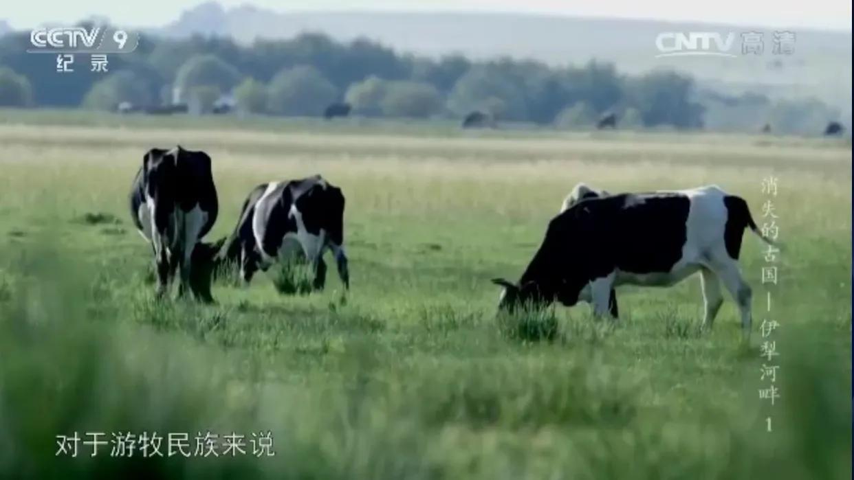 The Legendary Life Experience of the King of Wusun Kingdom - iNEWS