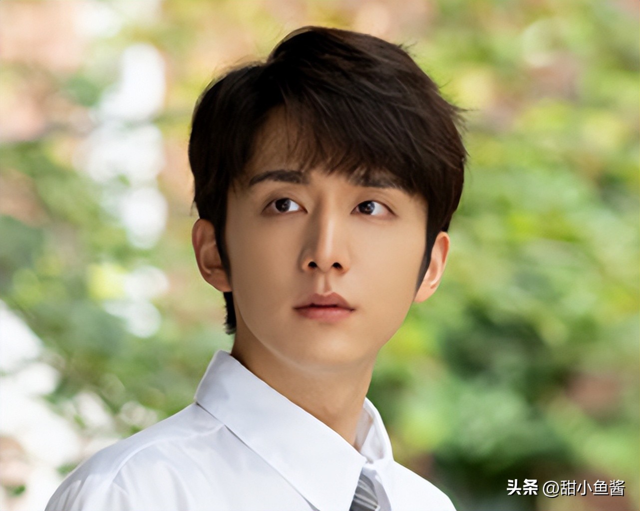 The official announcement of Zhang Xincheng's new film, Lin Yang ...