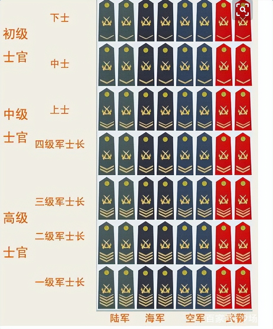 Learn about the PLA rank epaulettes - iMedia