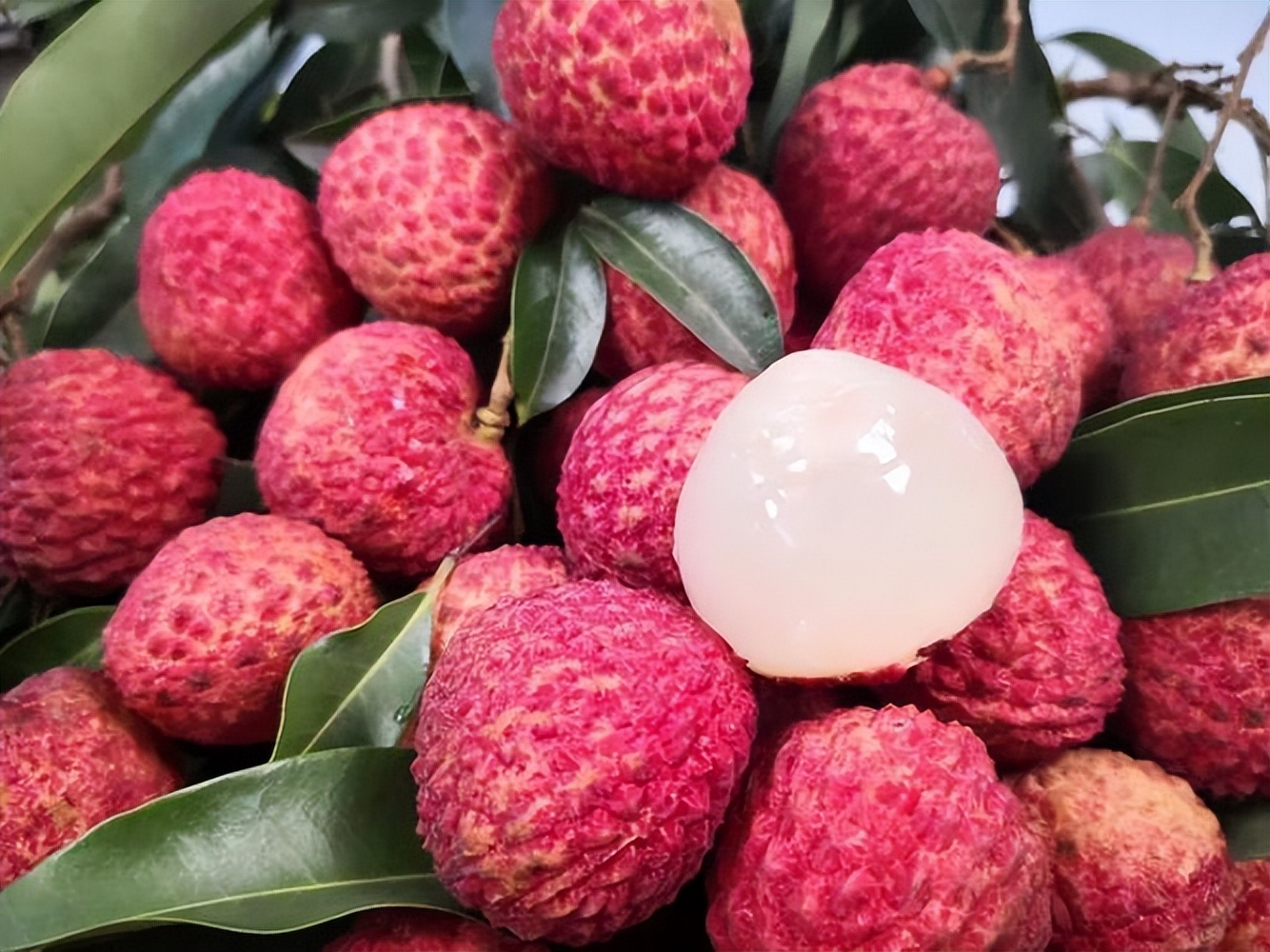 Sugar lovers eat "lychee", is it raising or lowering sugar? The doctor ...