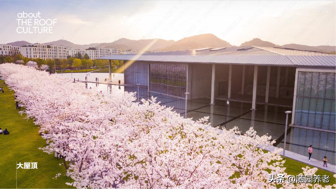 [Suiyuan Jiashu] How to spend the beautiful four seasons of an 86-year ...