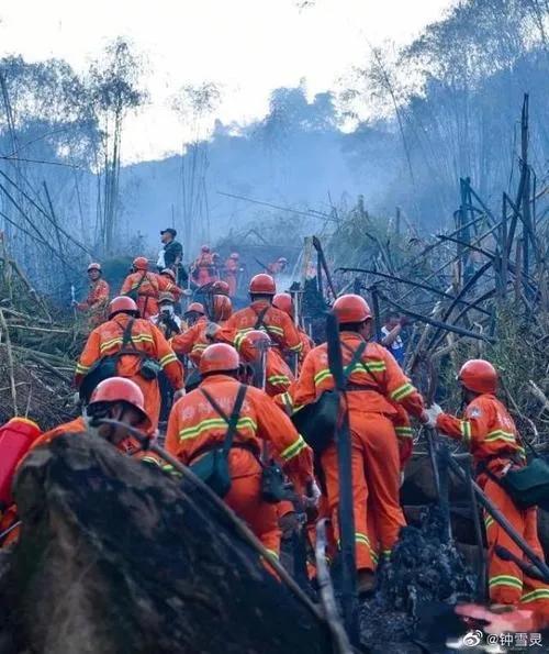 Feelings of watching the mountain fire extinguished in Jinyun Mountain ...