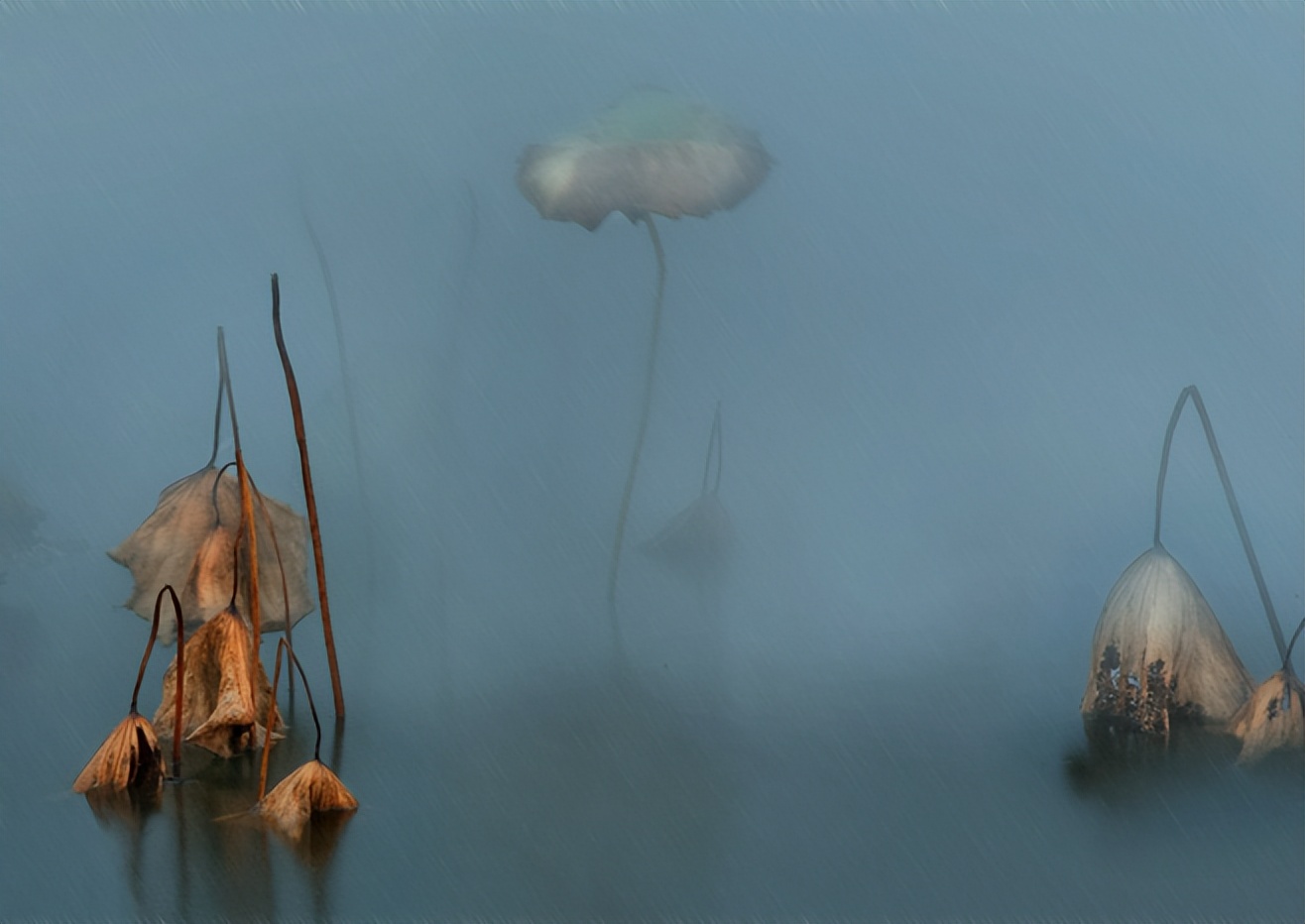The river is blue, the willows are tired of looking at the lotus, and ...