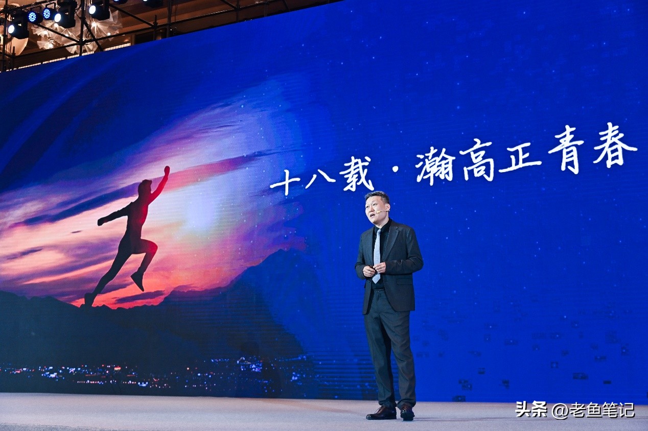 From Ordinary to Extraordinary: The Counterattack Road of Hangao ...