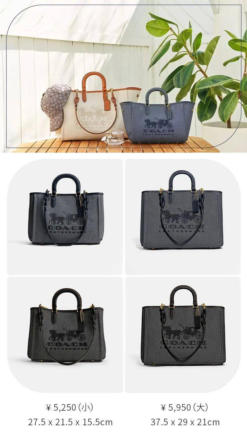 How cheap and easy to use are the new Coach models? - iNEWS