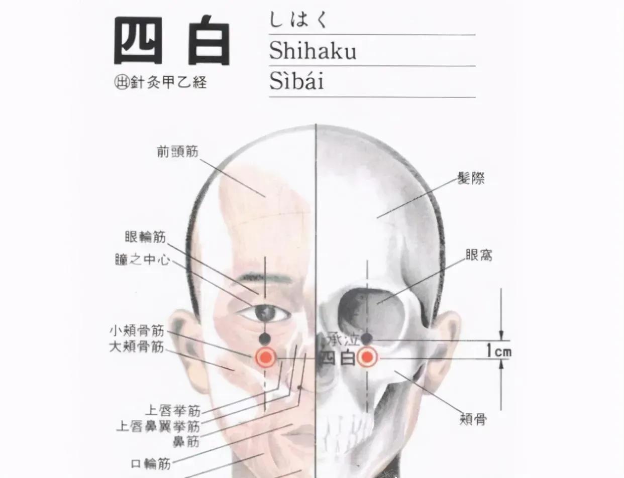 The magical Sibai point, the point to polish your eyes, the nemesis of ...