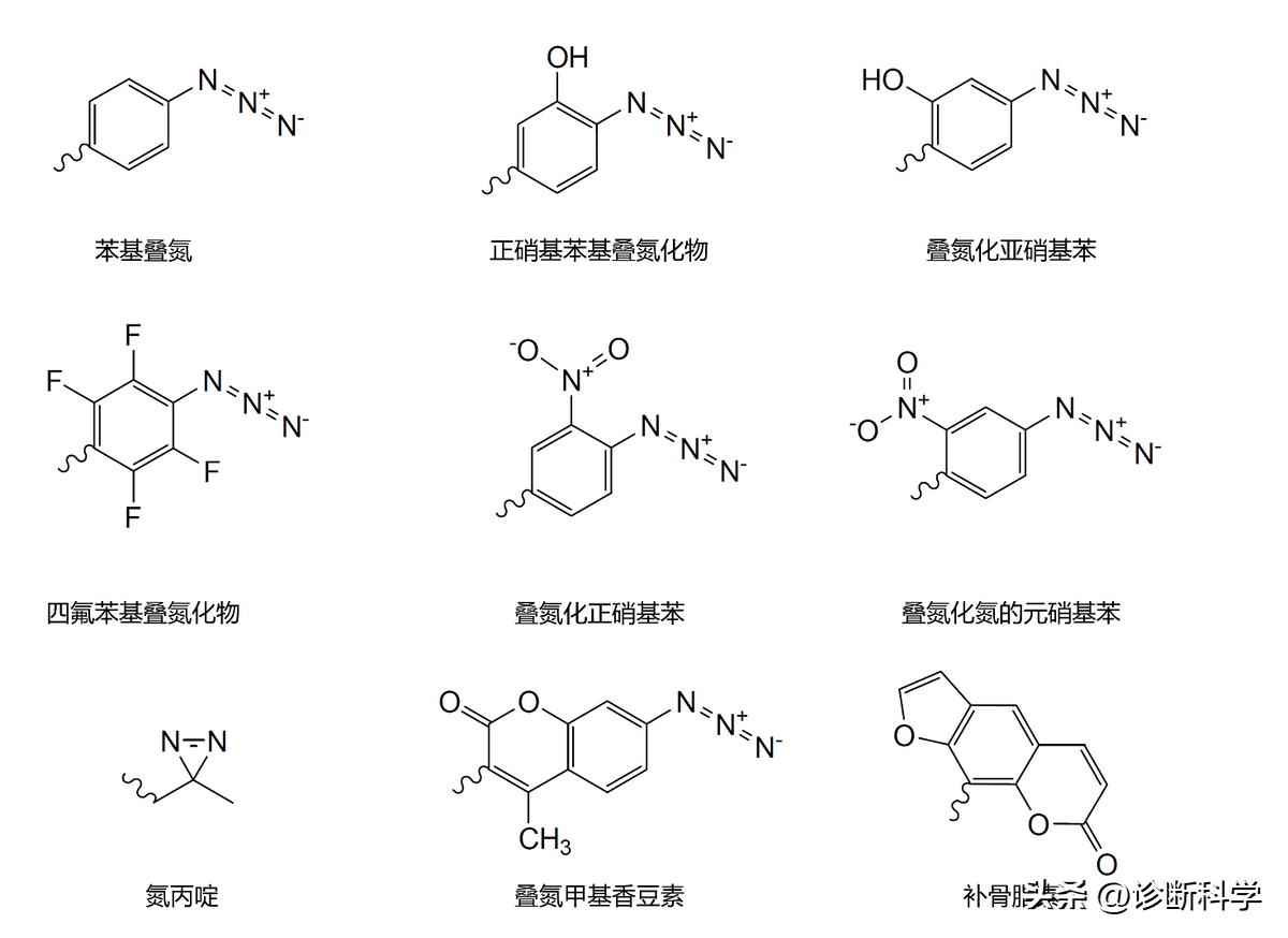 Photoactivation Light Source and Conditions for Arylazide Crosslinking ...