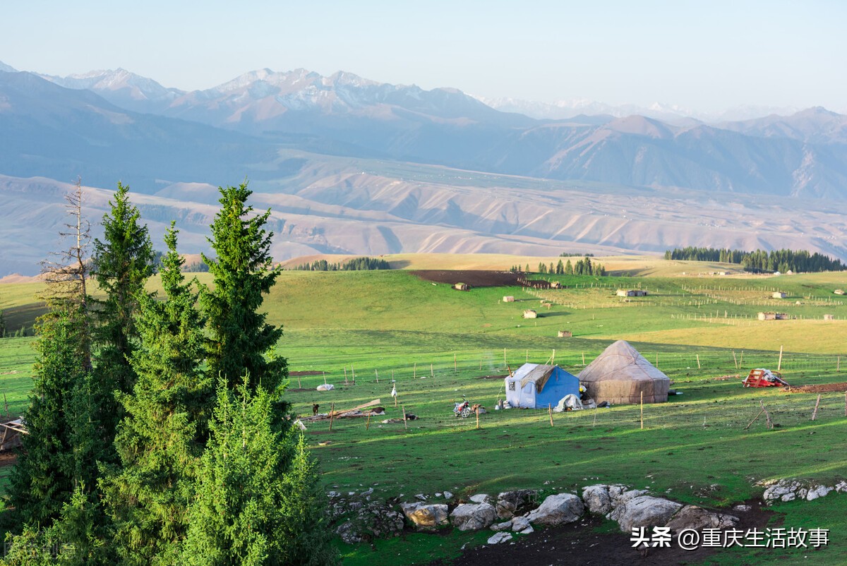 Li Juan is extremely talented, but those who pursue her are not serious ...