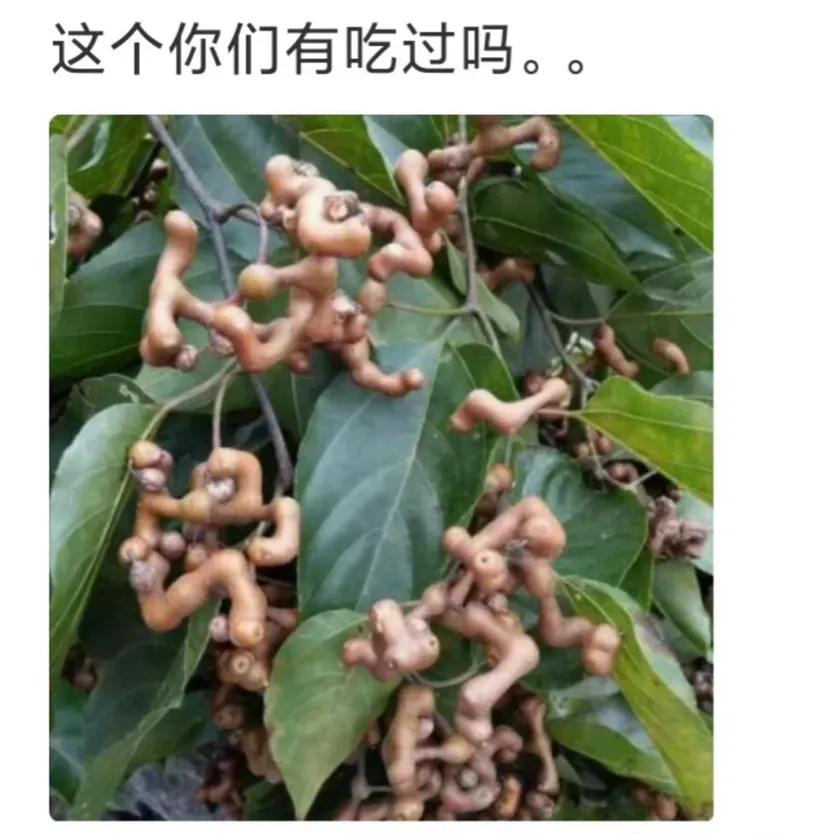 Is the first Ma Rong we know? - iNEWS