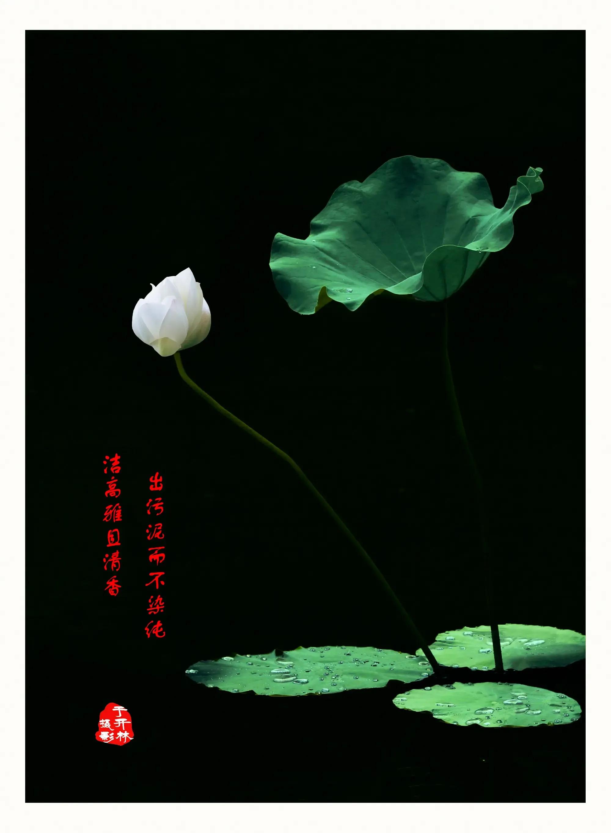 The Way of Yin and Yang is Natural, and the Wonderful Principles Go ...