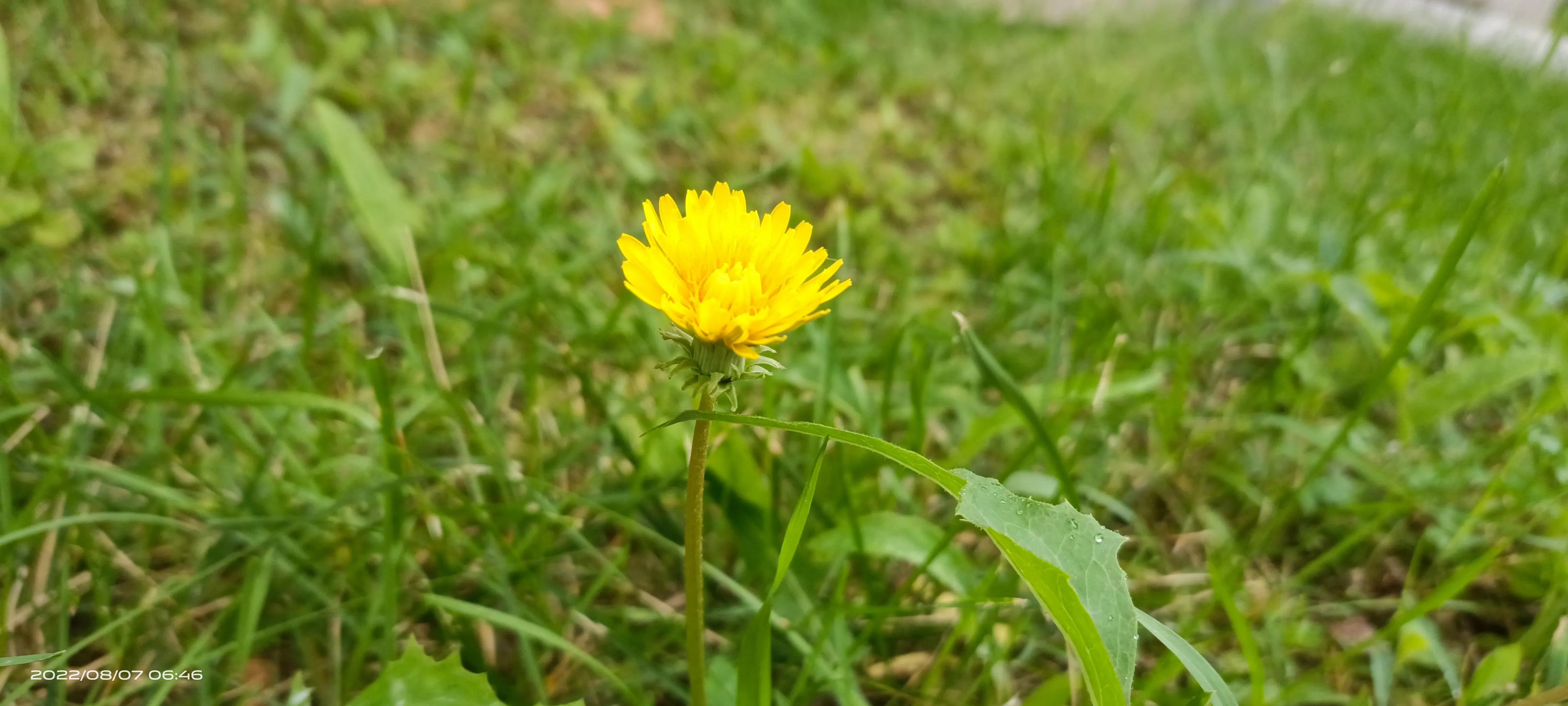 Why Butian Baoyu became a "lost student" - iNEWS