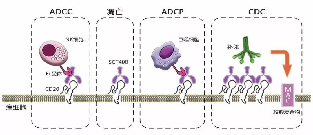 The first domestic recombinant blood coagulation factor eight: from ...