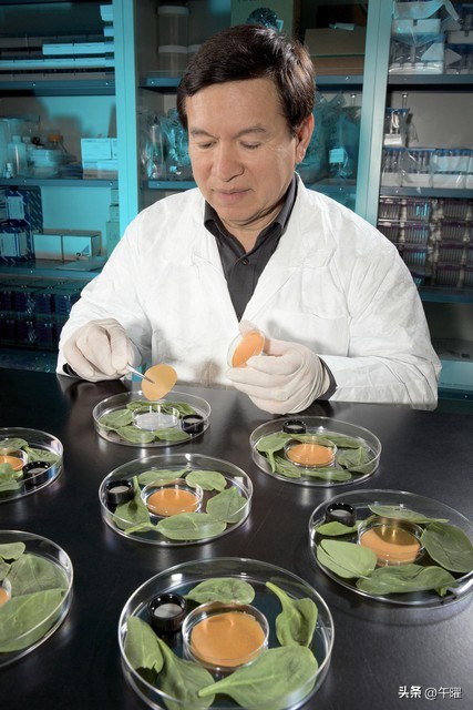 "More than 70% of American Chinese scientists are afraid" Chinese ...