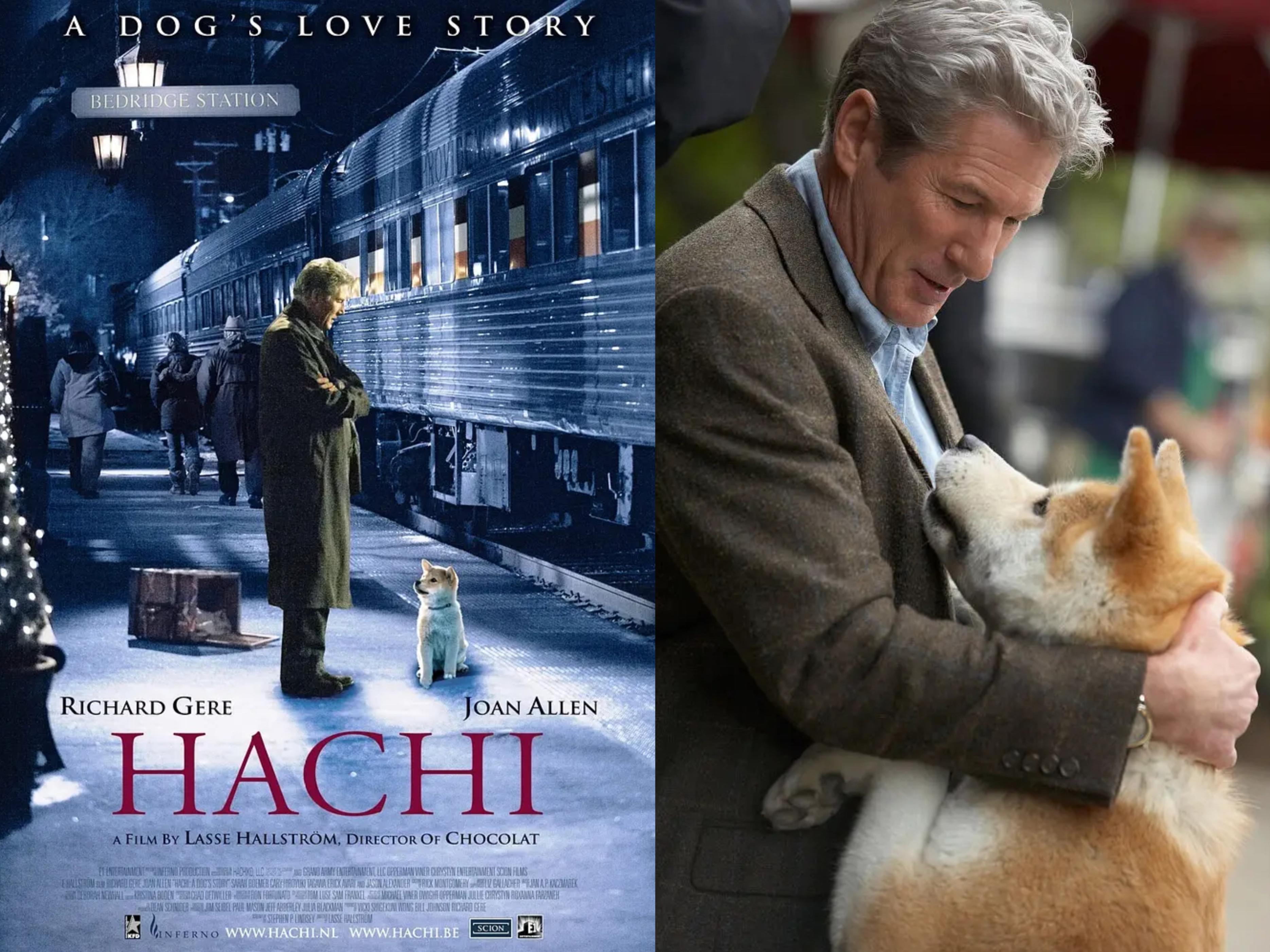 The Chinese pastoral version of "The Faithful Dog Hachiko" cried ...