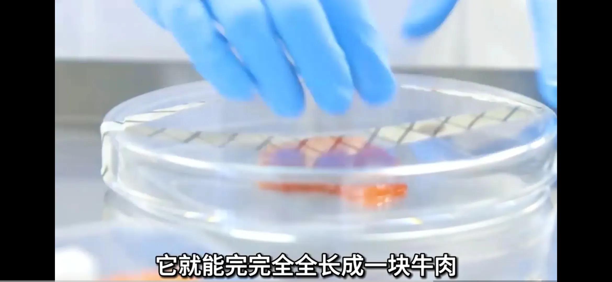 The artificial real beef developed by Israel has the same texture and ...