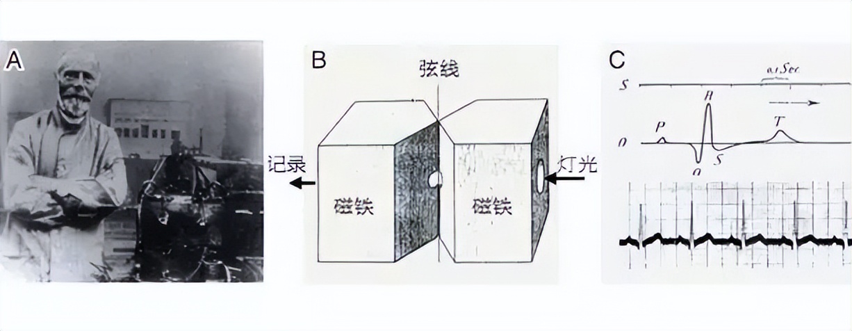 How did the first human electrocardiogram come out? - iNEWS
