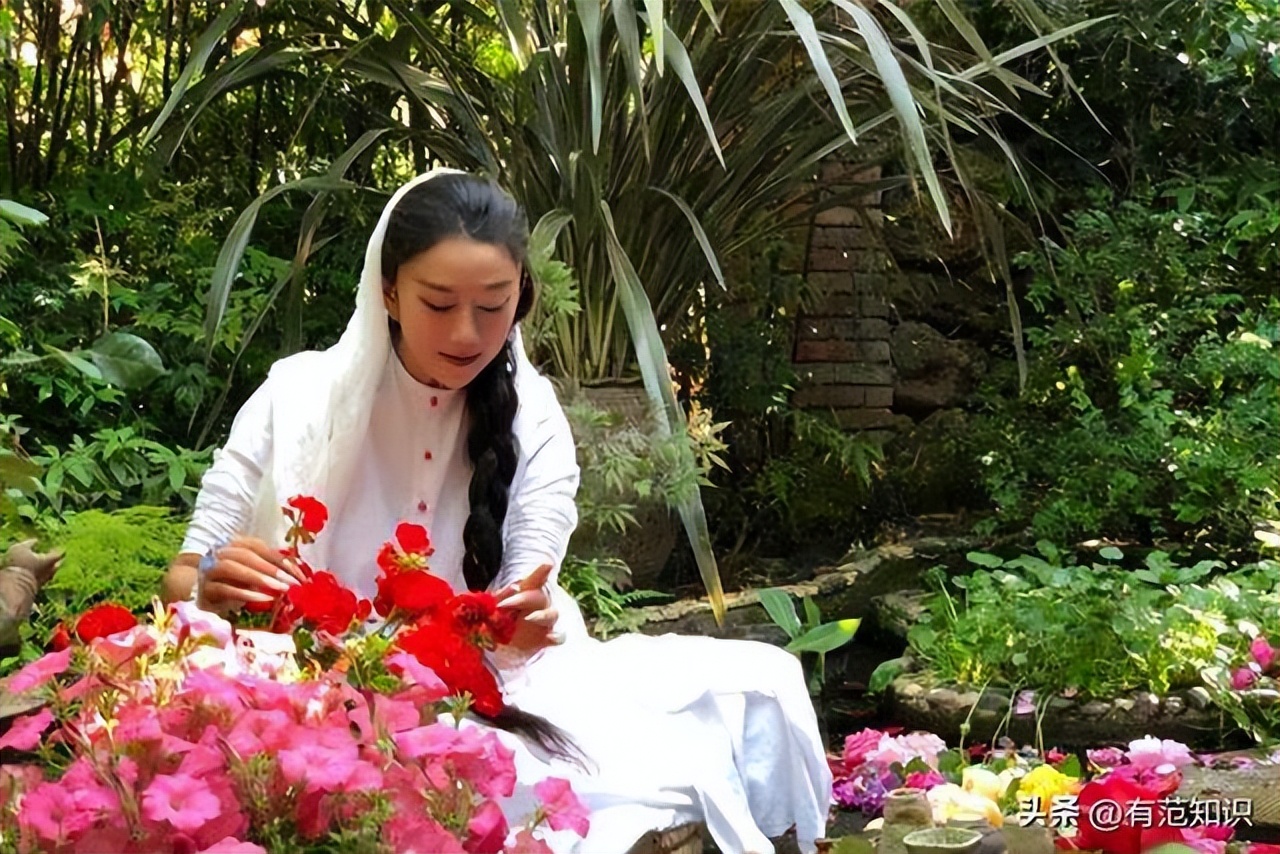 Yang Liping's dance reproduces the controversial elements, adding "Yin ...