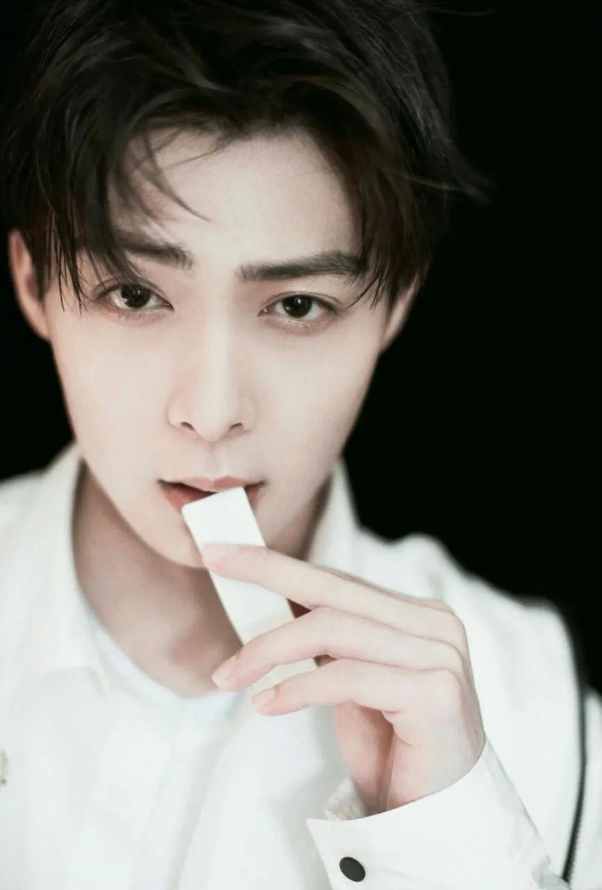 Exquisite Atlas of Zhang Mingen - iMedia