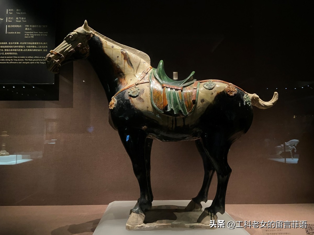 Luobo Treasure Hall: Tang Sancai of "Foreigners" - iNEWS