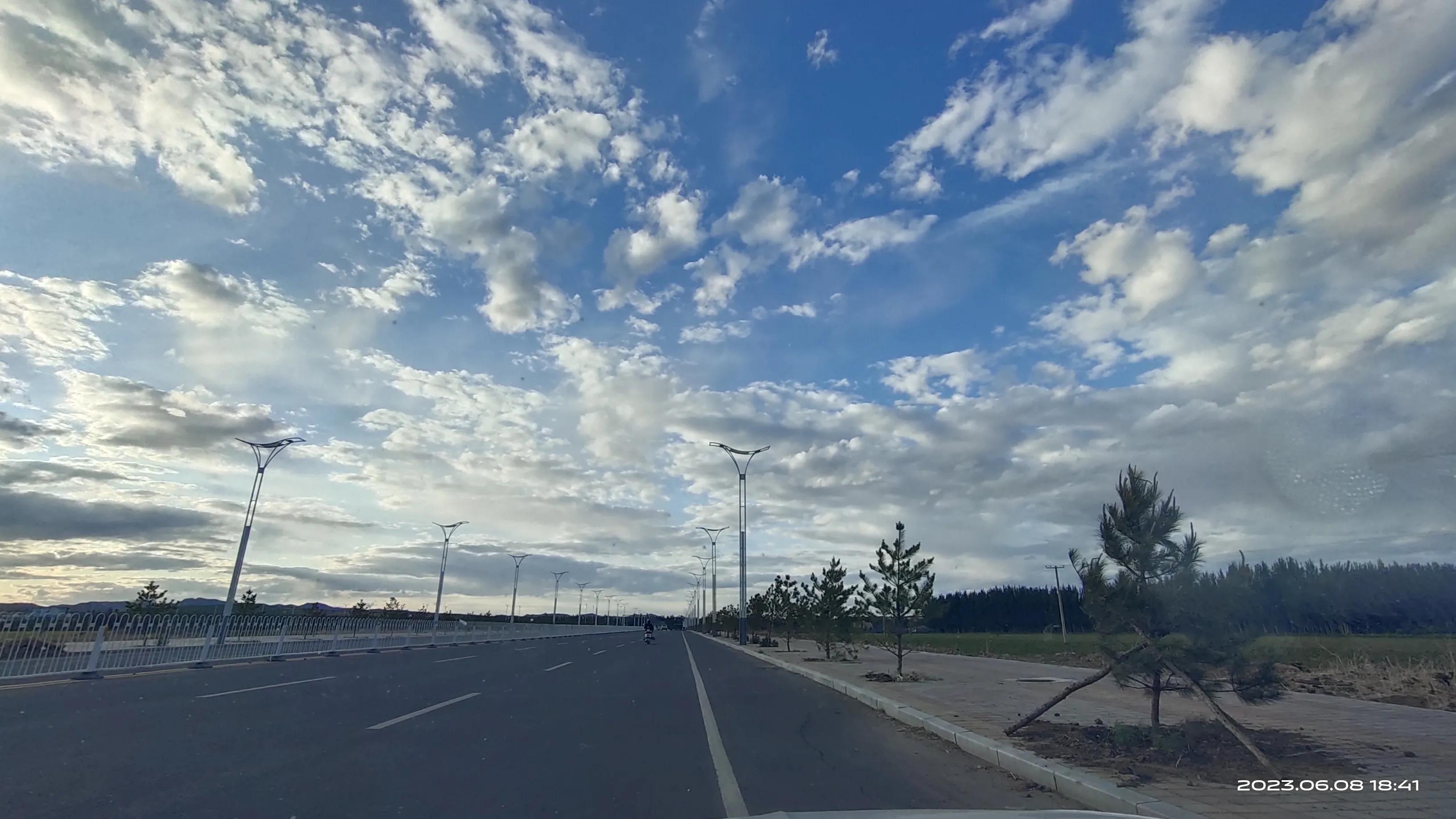 Chen Yumin (Prose) Reading Summer - iMedia