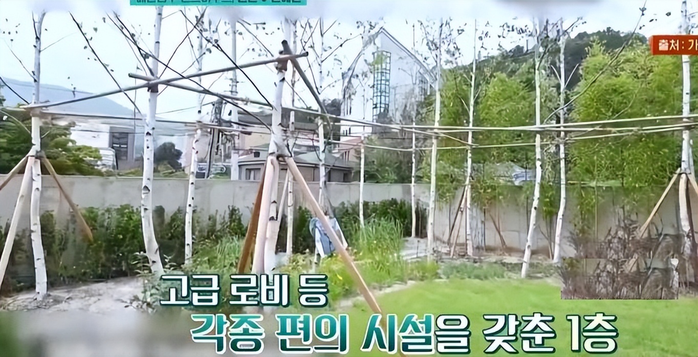 Hyun BinSon Ye-jin's real-life shooting exposure: There is a big garden ...